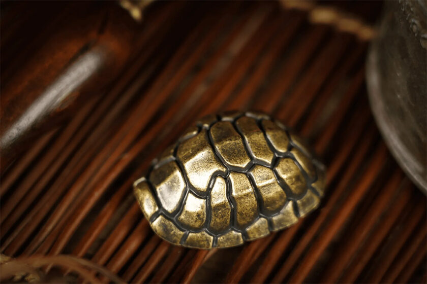 TCC PRESENTS The “Shell” Game by Mai Bro – ApproachChina Magic
